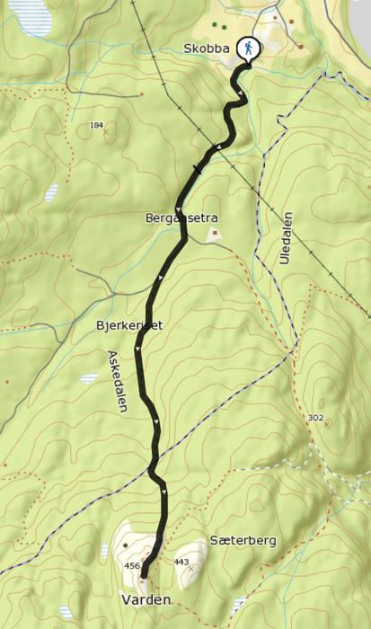 13. Vettakollen (Varden) :: Huldrestier i Lardal